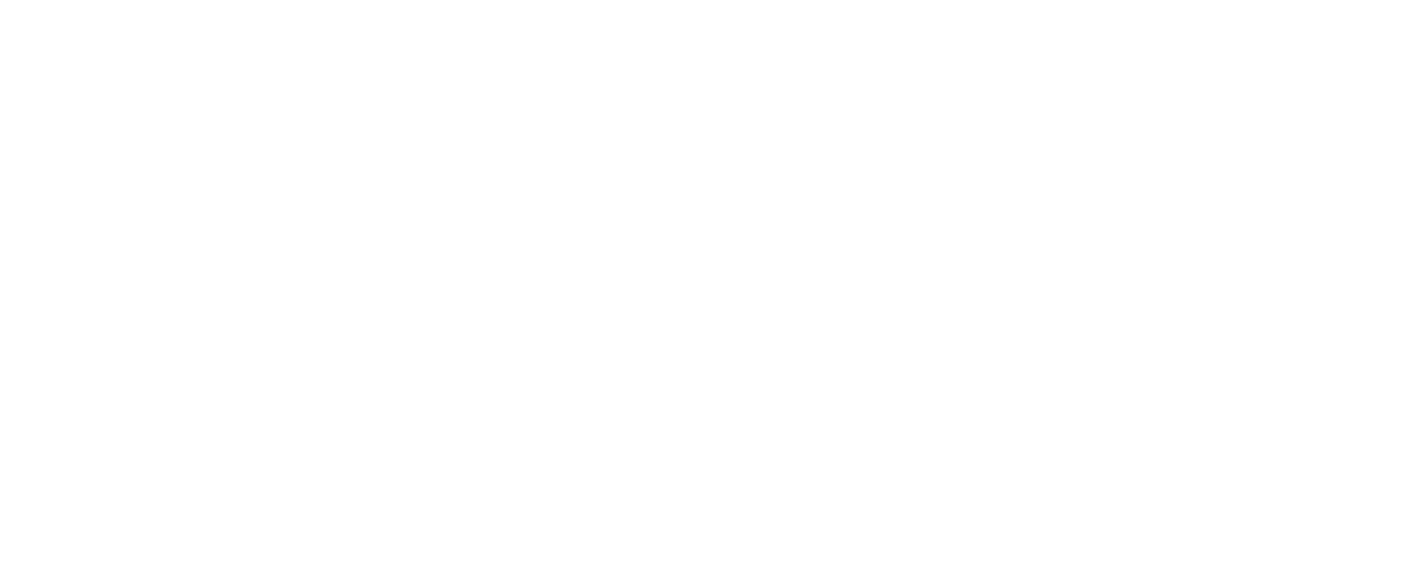 GO Zebra - AGiiLE